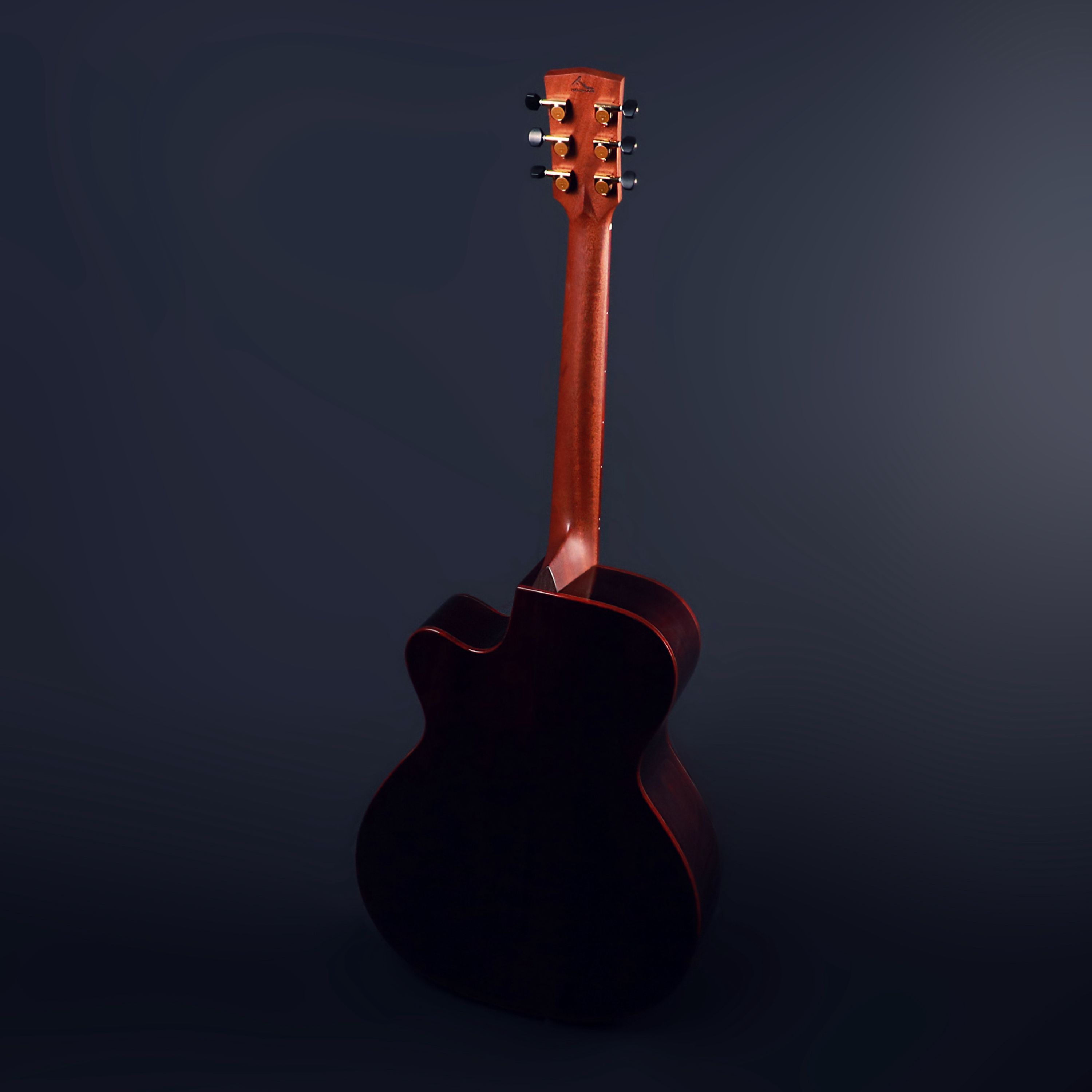 Passion Deluxe-ACXW | Công Ty TNHH sản xuất Đàn Ghita Xuất Khẩu | Ayers ...