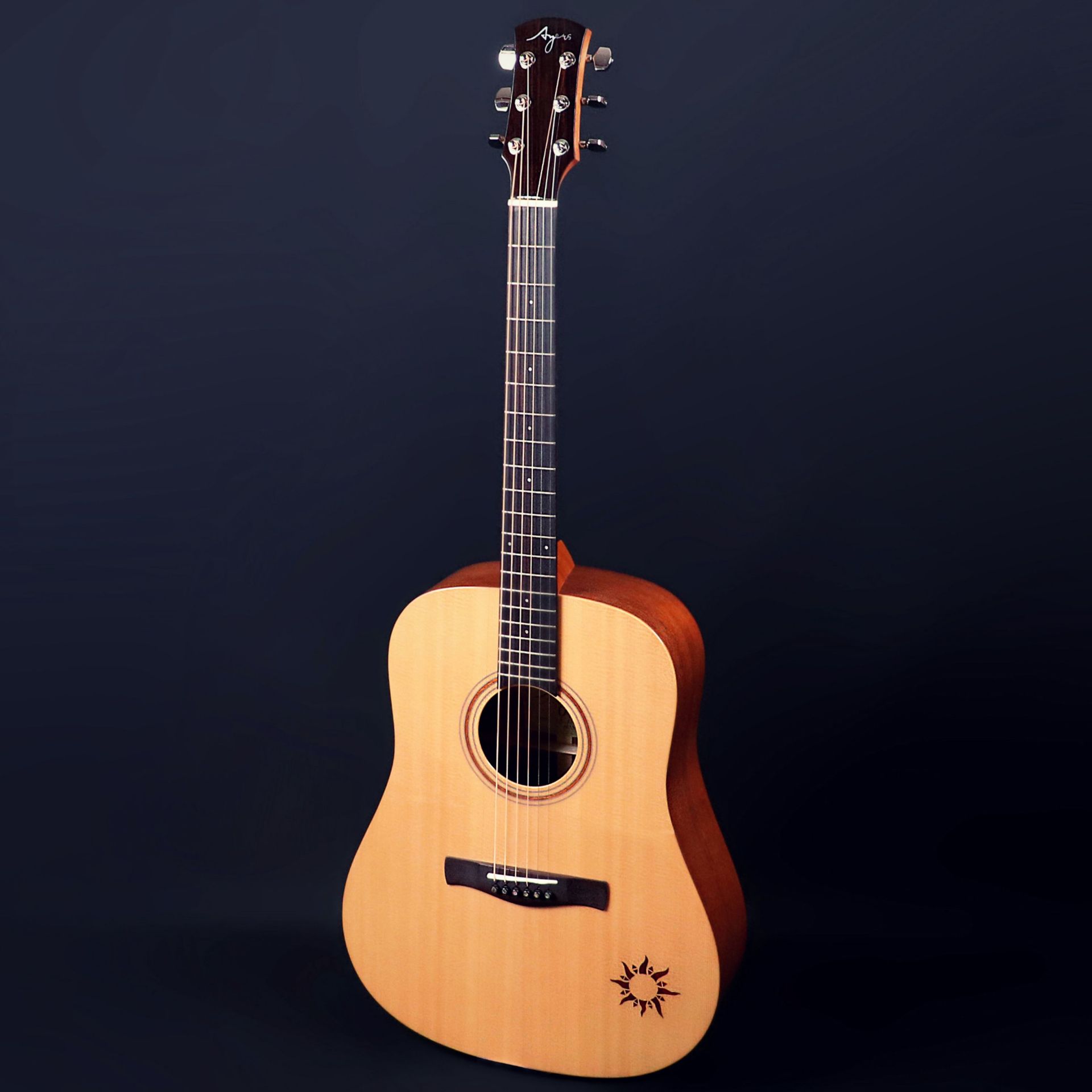 DS-NW | Công Ty TNHH sản xuất Đàn Ghita Xuất Khẩu | Ayers guitar Việt Nam